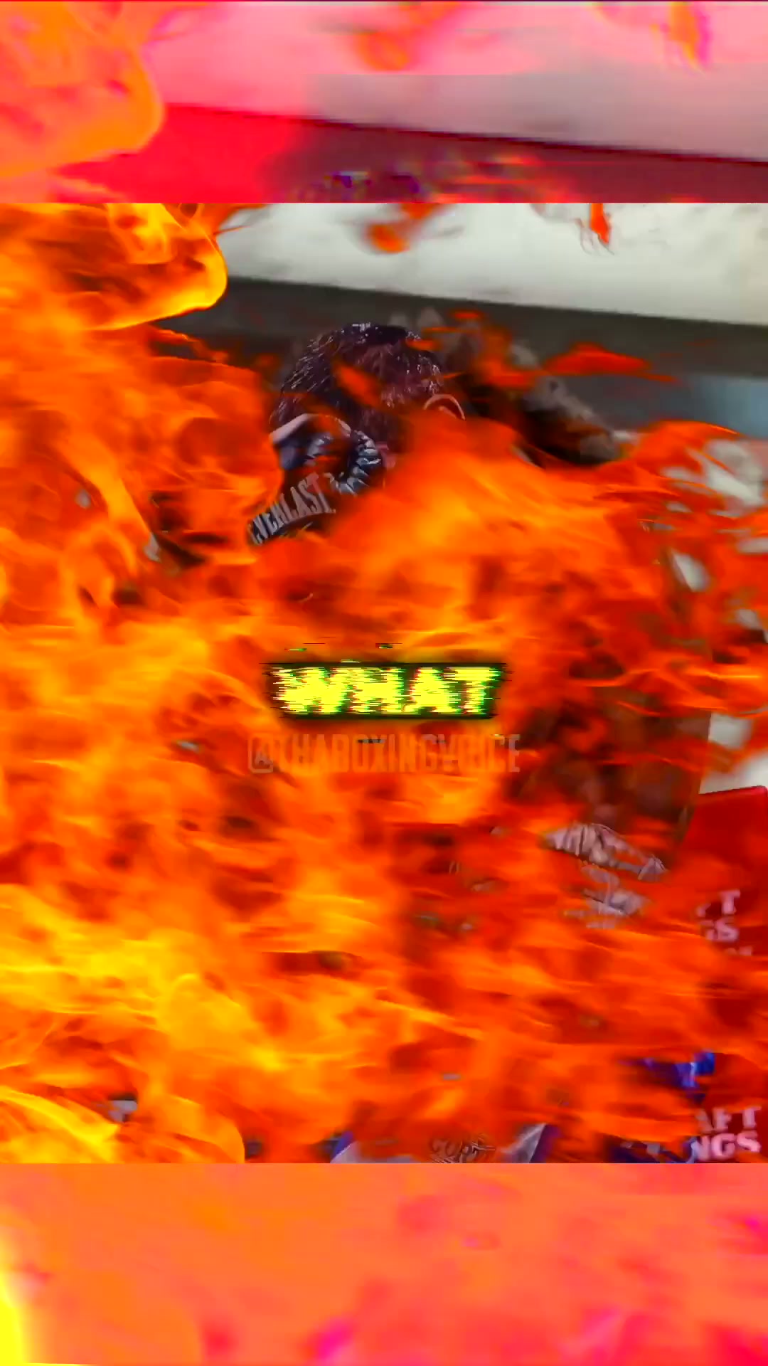 Bill Haney: Subriel Matias and Pitbull Cruz are stay-busy fights for ...