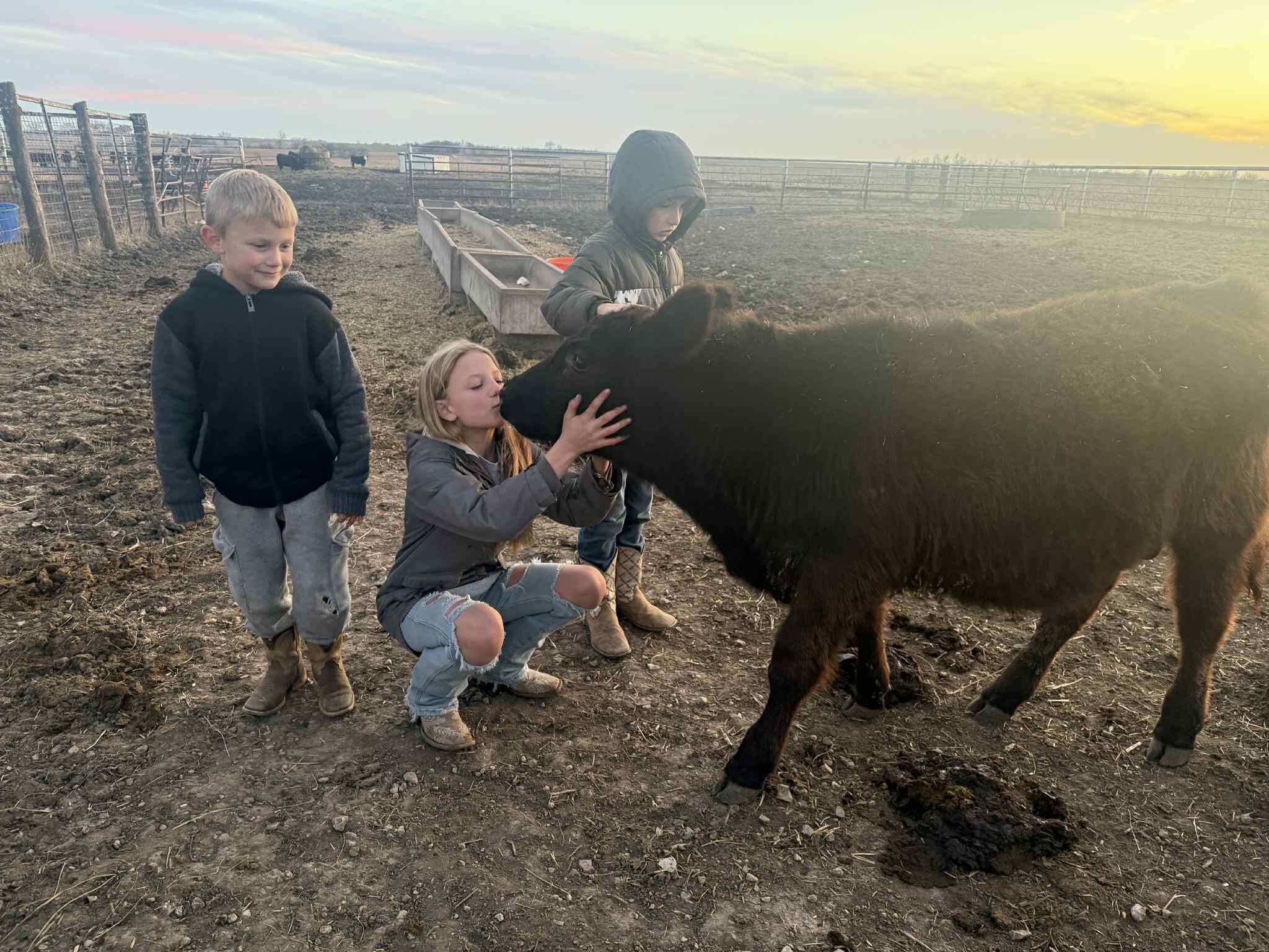 Good kids - Overbrook girl nurses ailing animal back to health