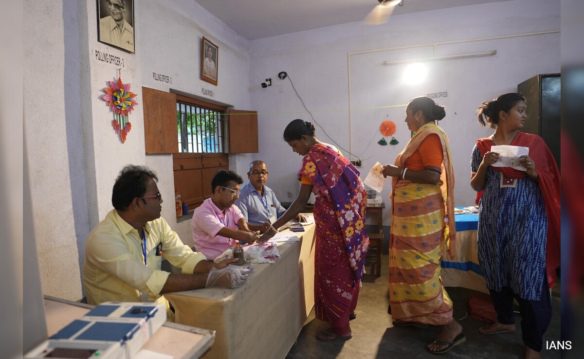 BJP dominates local body elections in Haryana