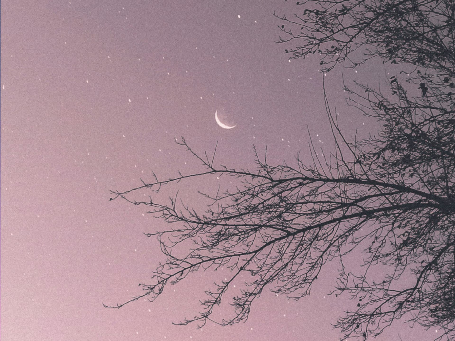 Horoskop heute: Dein Tageshoroskop am 26. Januar 2026