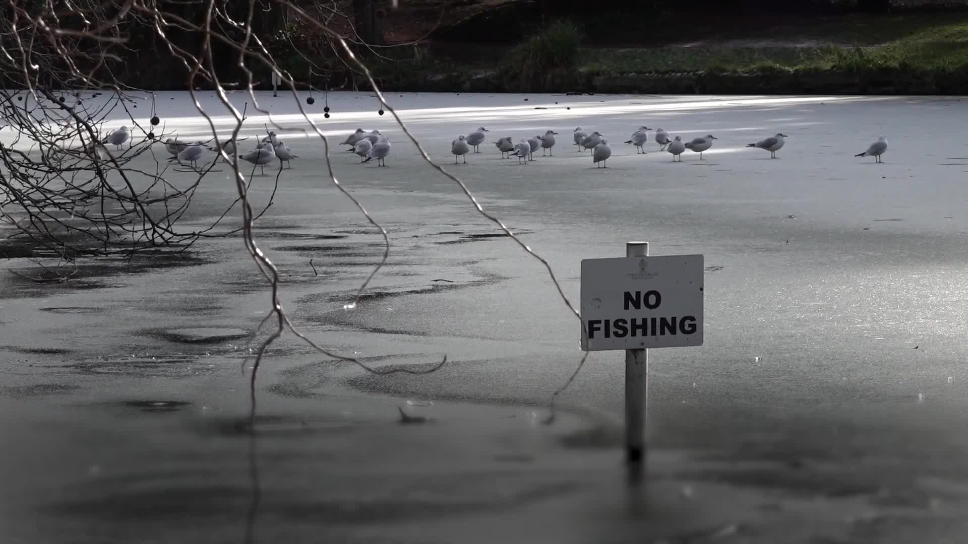 Ice warnings in place across UK before storm set to bring heavy snow