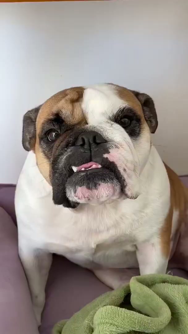 Objetos que a Mada comeria