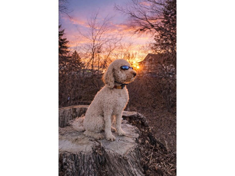 🌱 Patch AM: How Denver’s first open-container entertainment district ...