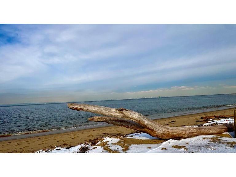 🌱 Patch AM: Tony Perry, Rick Hibell, Kevin Settembrino sworn into ...