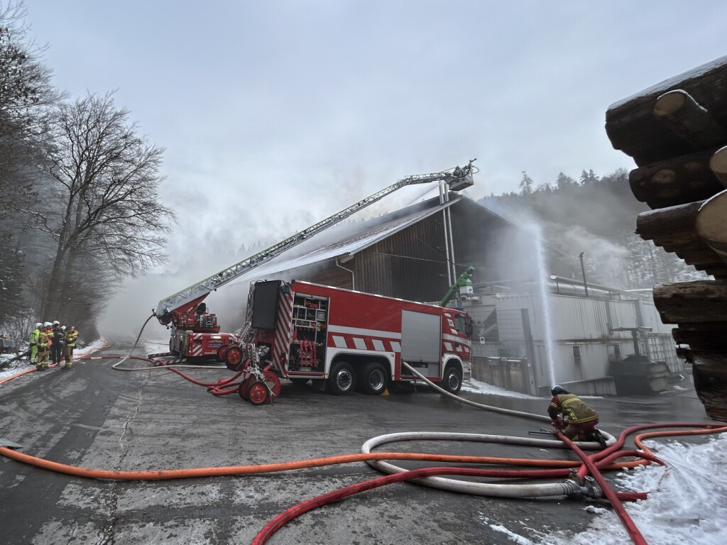 Brand in Holzschnitzelhalle