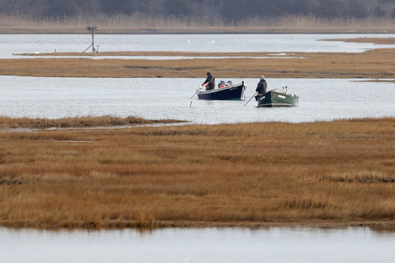 Shellfish season is open in parts of the Westport River. Here's where.