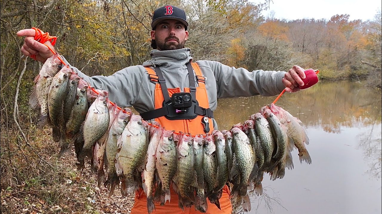 How to master creek crappie fishing by using jigs and bobbers