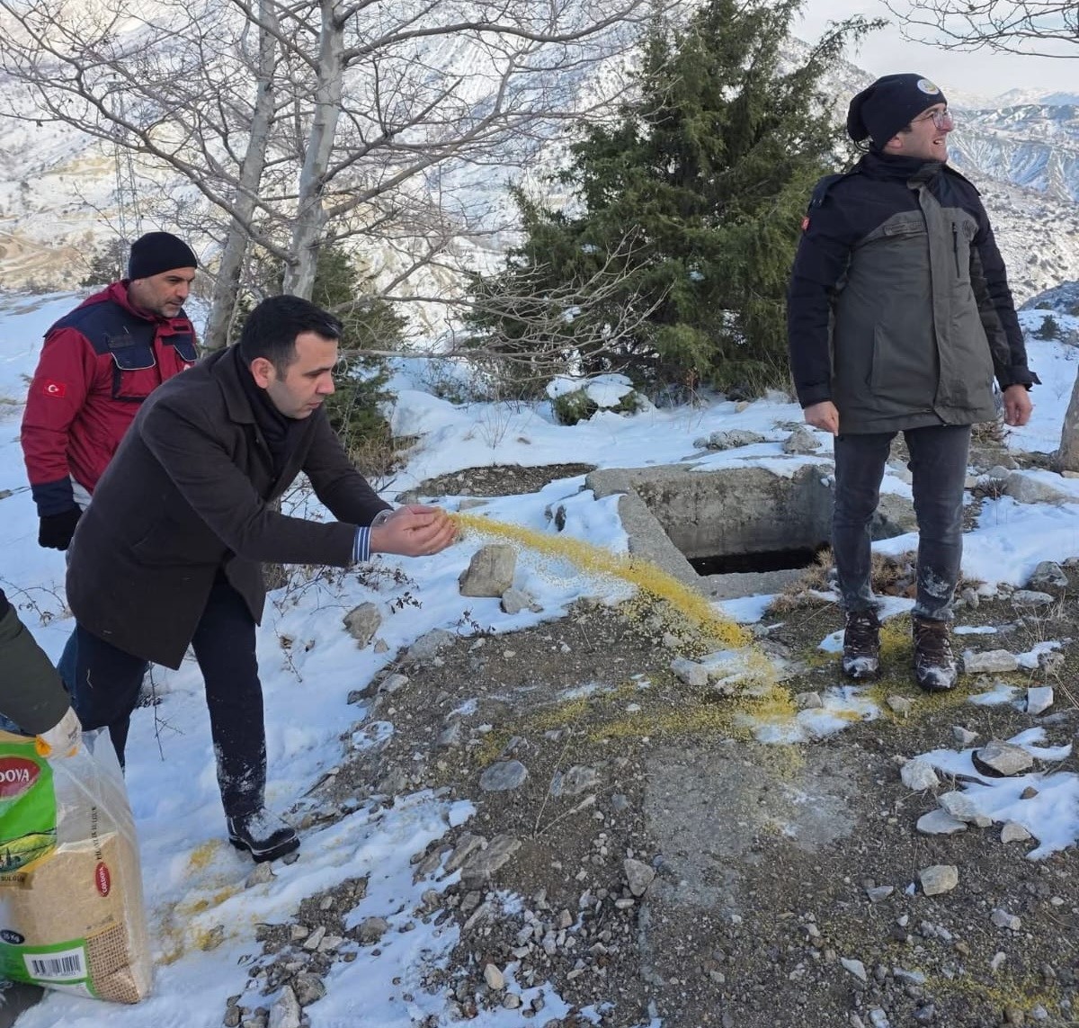 Yabani hayvanlar için doğaya yem bırakıldı