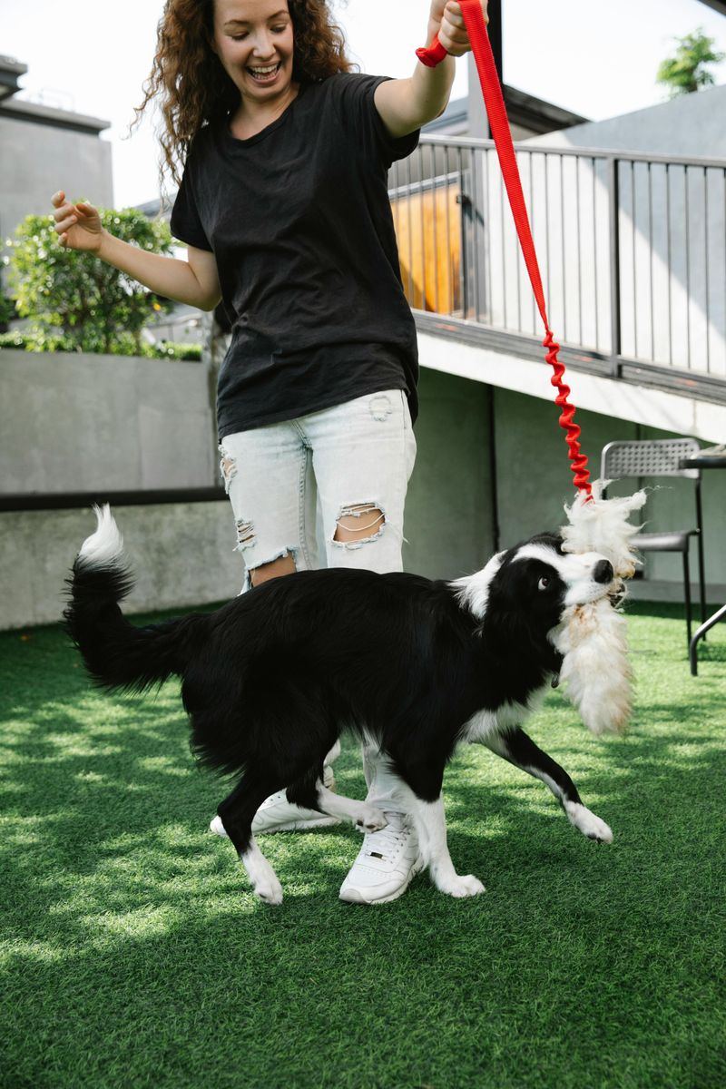 8 funny things dogs do when they’re happy, says a trainer