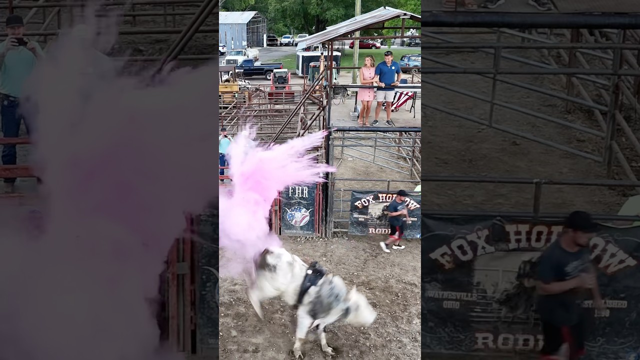 The drone video is just too sick not to share #dronemedia #gendereveal ...