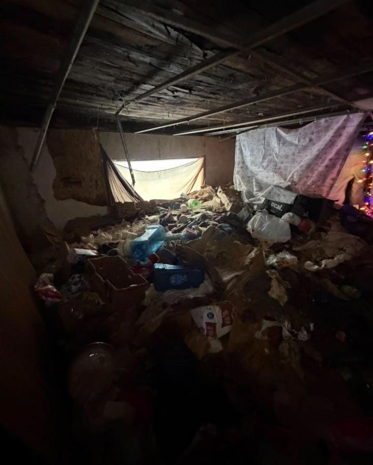 Dozens of cats rescued from rural Sask. home where RCMP found a person dead