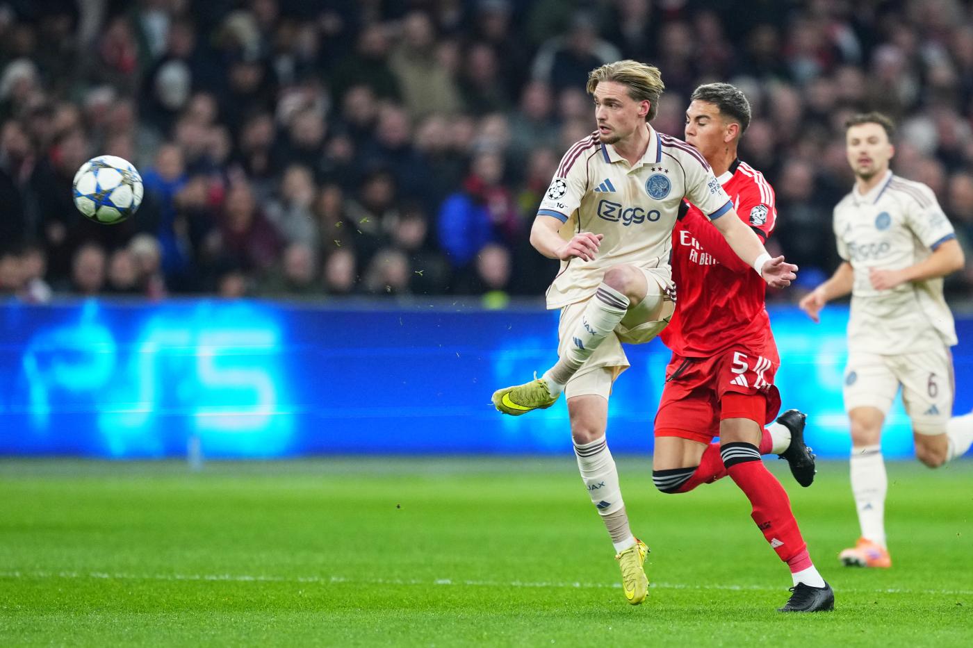 Taylor è a Villa Mafalda: visite mediche in corso