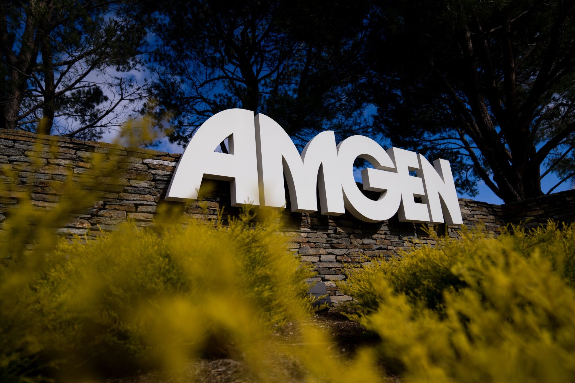 Amgen buys cancer drug developer Dark Blue in $840 million deal
