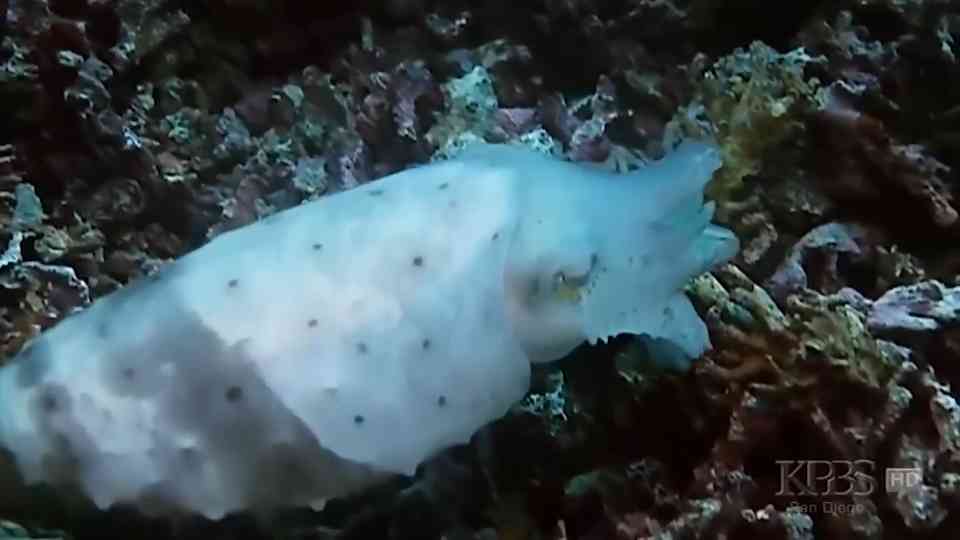 Why this physics exploit changes everything