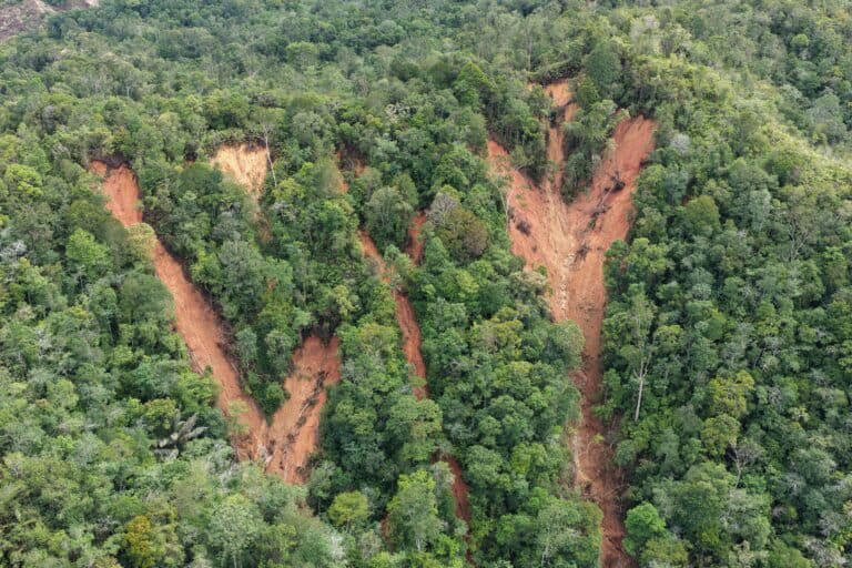Indonesia launches sweeping environmental audits after Sumatra flood ...