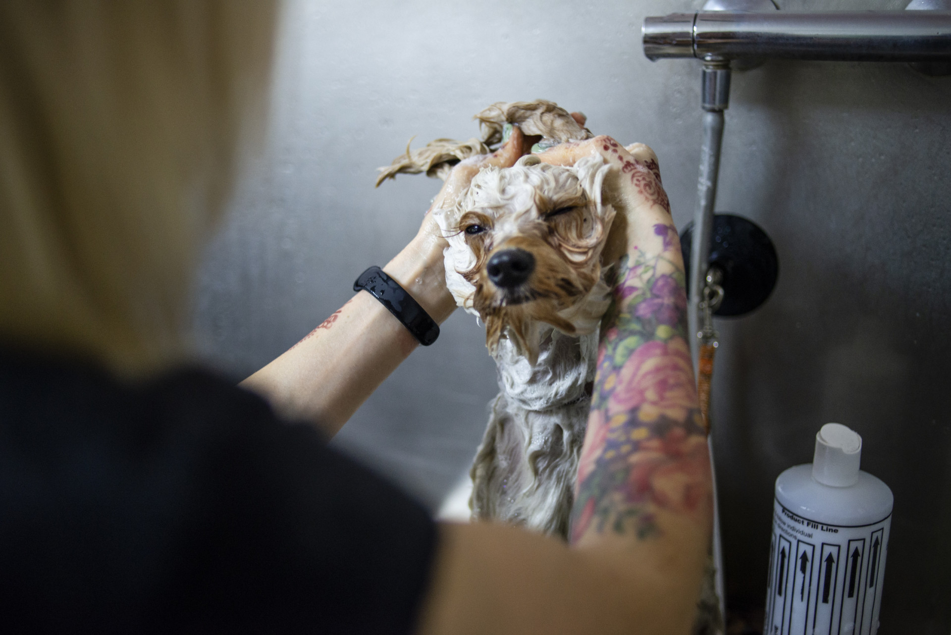 Common human behaviors that dogs dislike