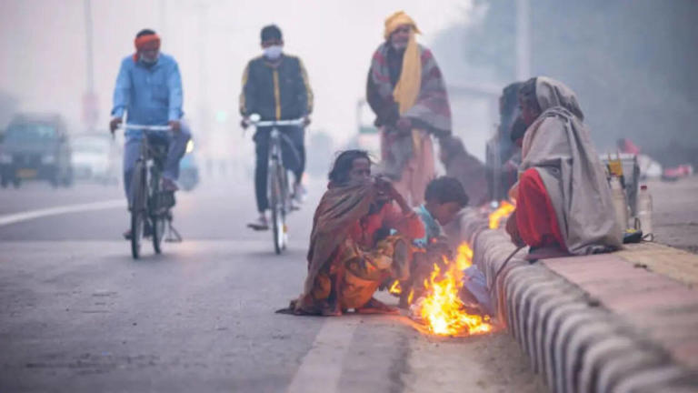 8 foods and supplements to avoid while taking birth control pills