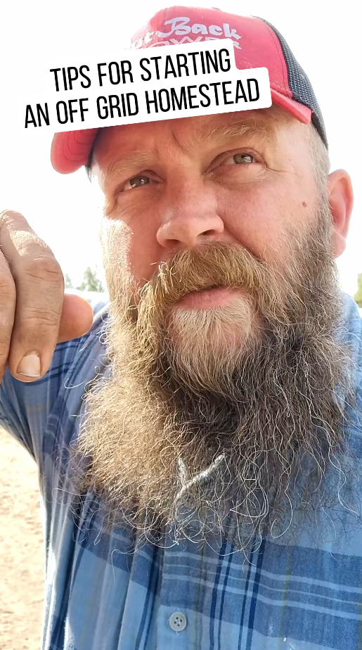 Essential tips for starting an off-grid homestead