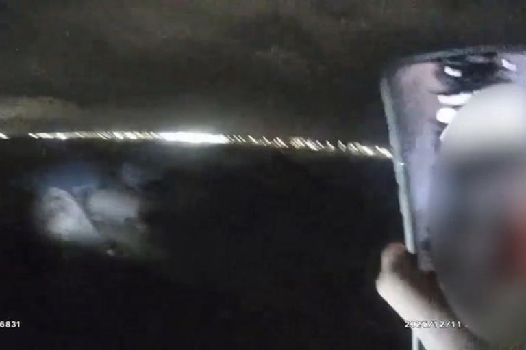 Quick-thinking officers form human chain to save woman from sea