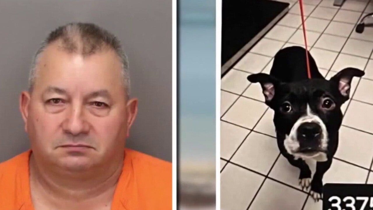 Case that inspired 'Dexter's Law' returns to court