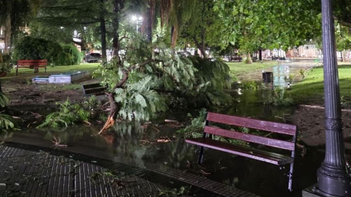 Temporal en Villa Dolores: árboles caídos y calles anegadas por la tormenta