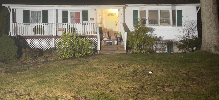 Dozens of domesticated rats rescued from Rocky Point home, questions ...