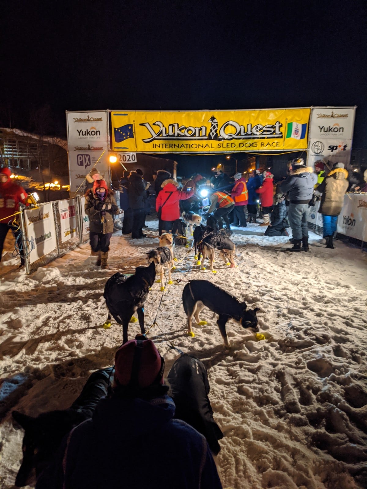 No Yukon Quest sled dog race this year, say former board members