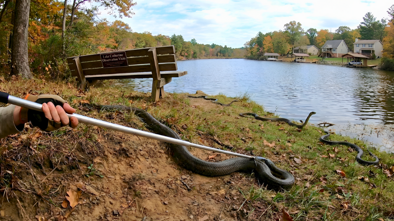 6 Beautiful Montana Waters That Are Filled With Most Snakes