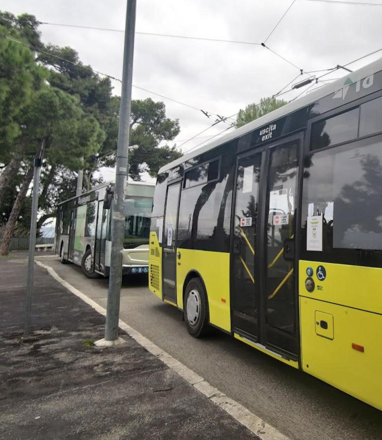 'Trasporto pubblico essenziale per aree interne', Mannetti chiede confronto
