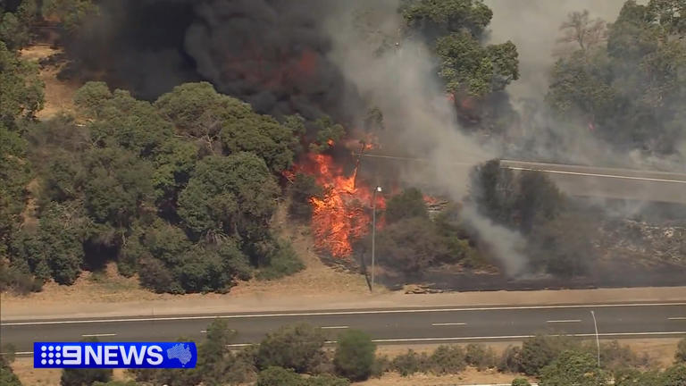 Firefighters battle tough conditions as parts of South Australia reach ...