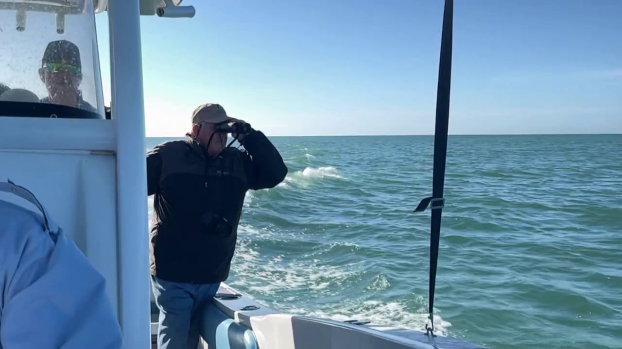 Discovering rare birds and the Christmas Bird Count at sea