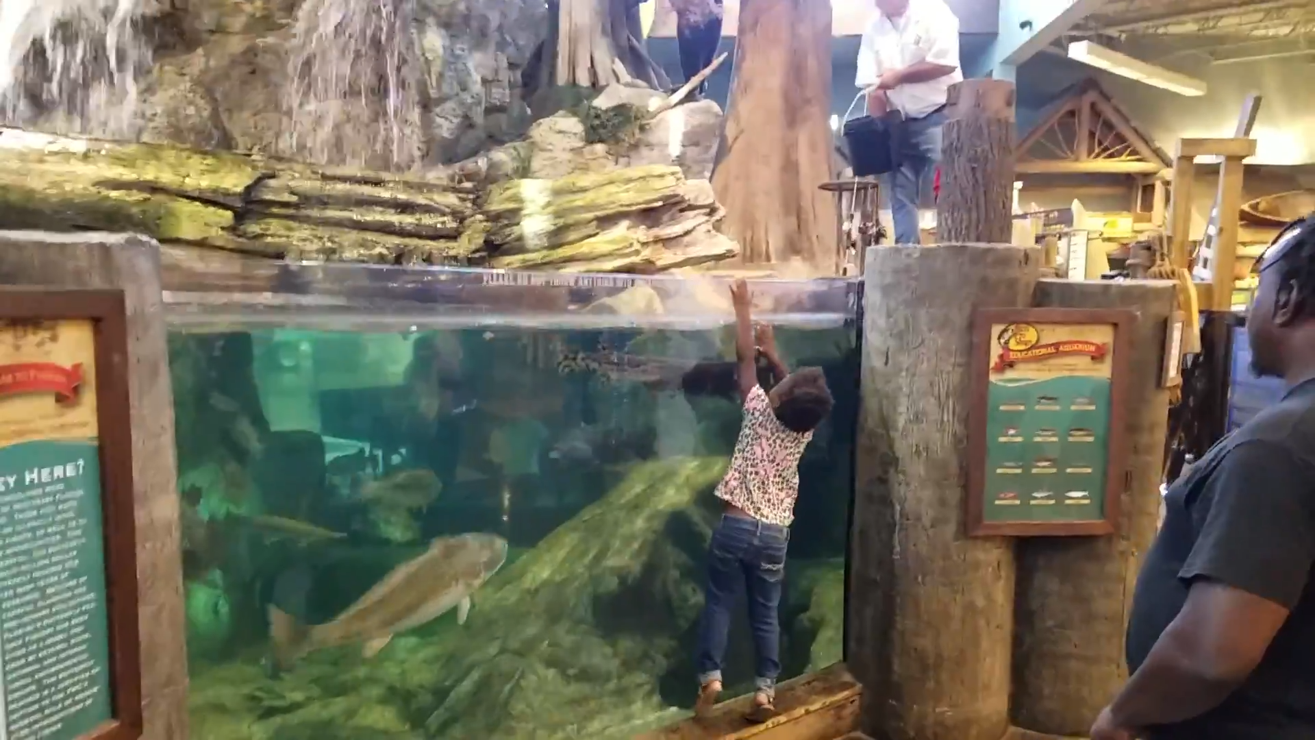 Never-before-seen fish revealed during Bass Pro tank feeding