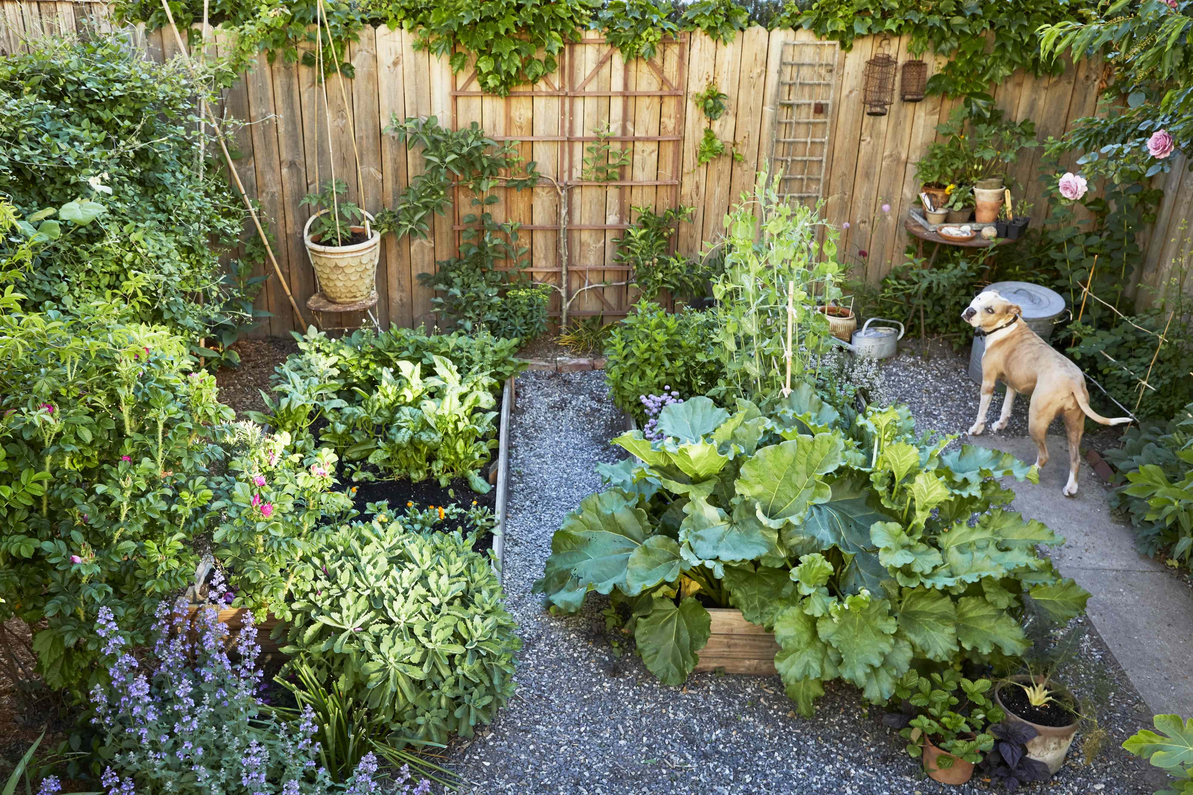 6 garden trends experts say will be everywhere in 2026