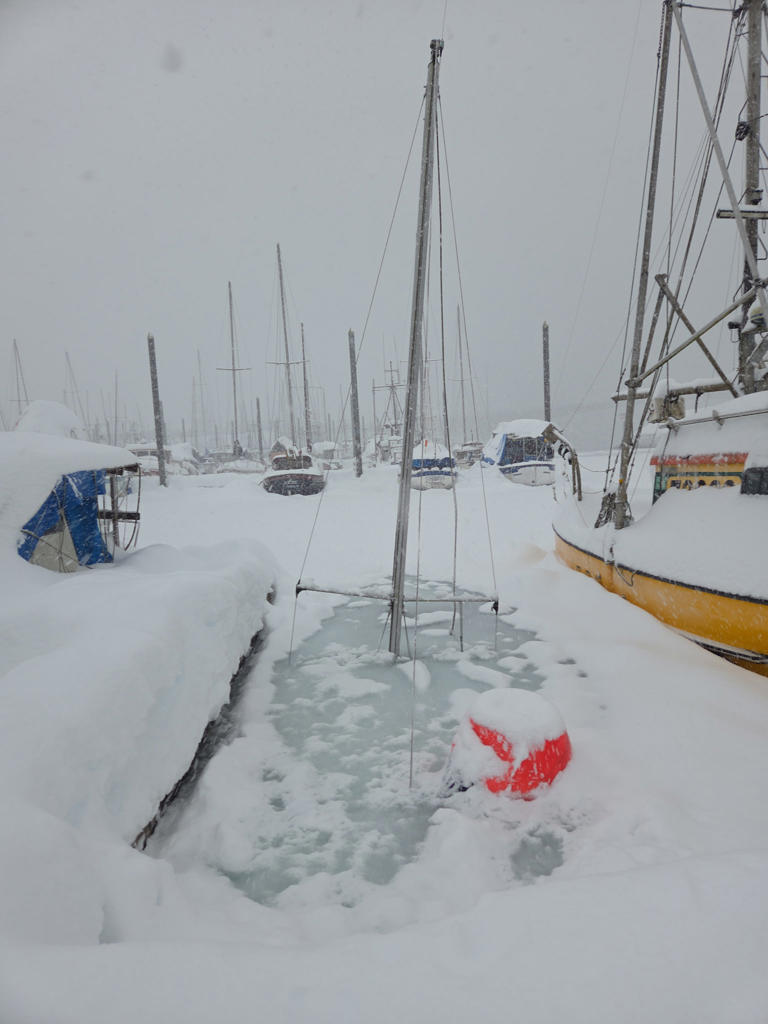 Alaska received 7 feet of snow, sinking boats and collapsing roofs