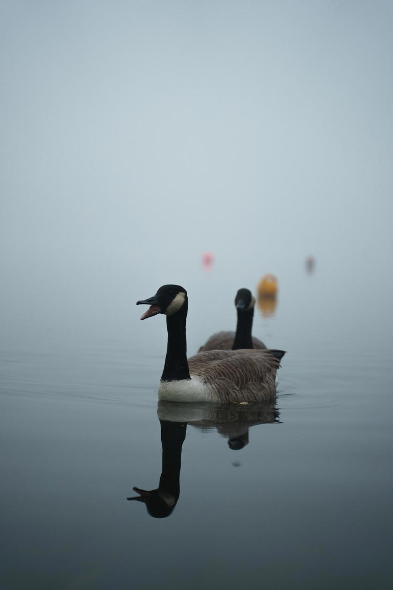 Fiery sunset picture wins London photography competition - and we can ...