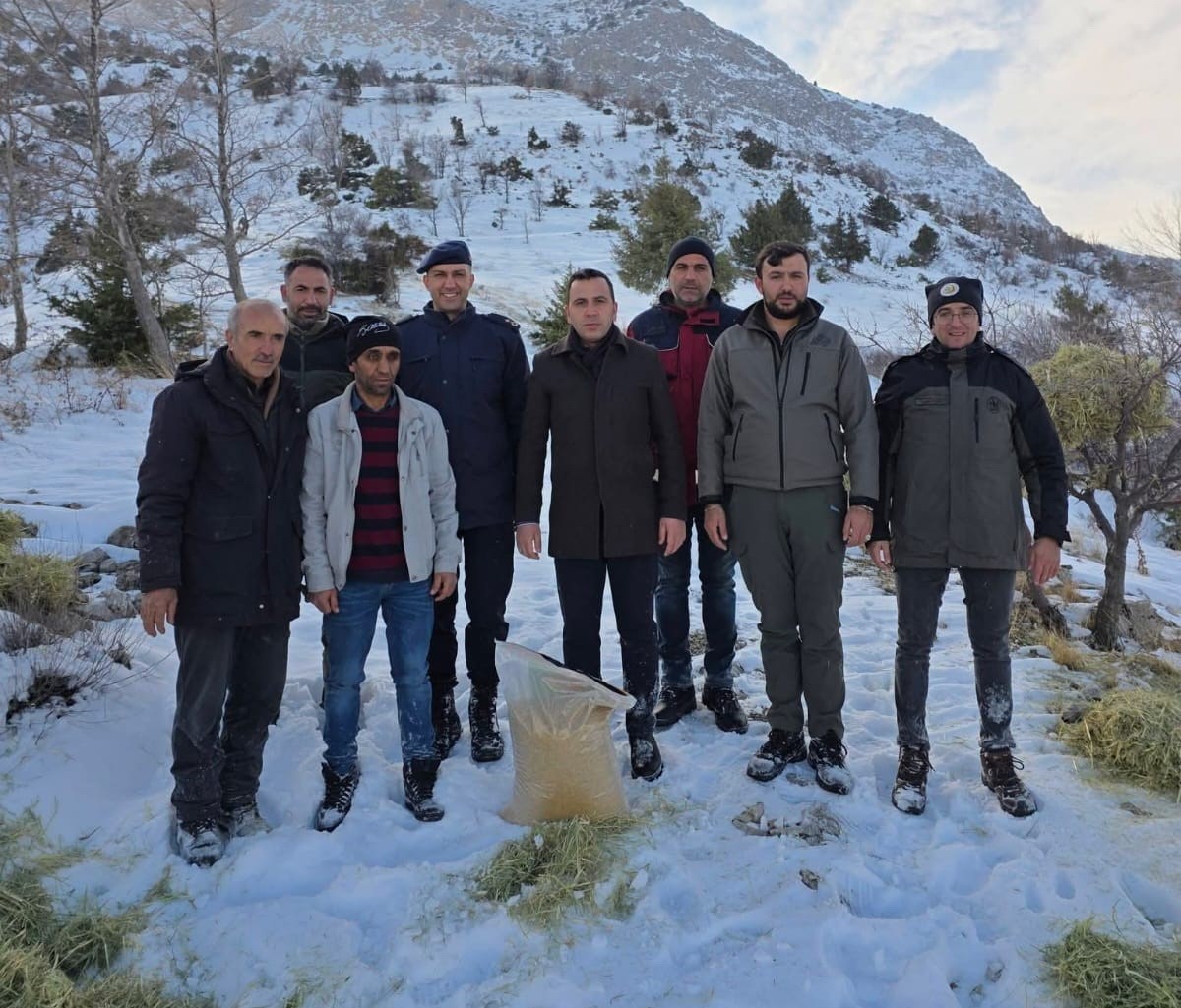 Yabani hayvanlar için doğaya yem bırakıldı