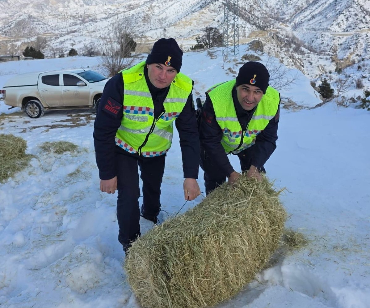 Yabani hayvanlar için doğaya yem bırakıldı
