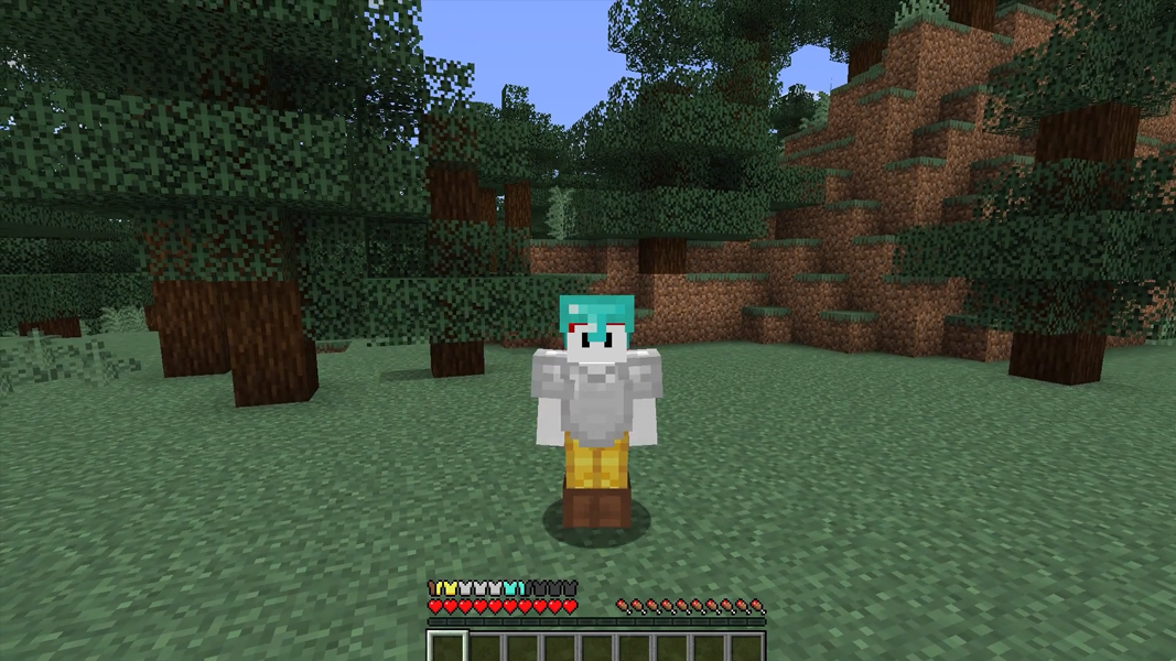 Minecraft armor display feature