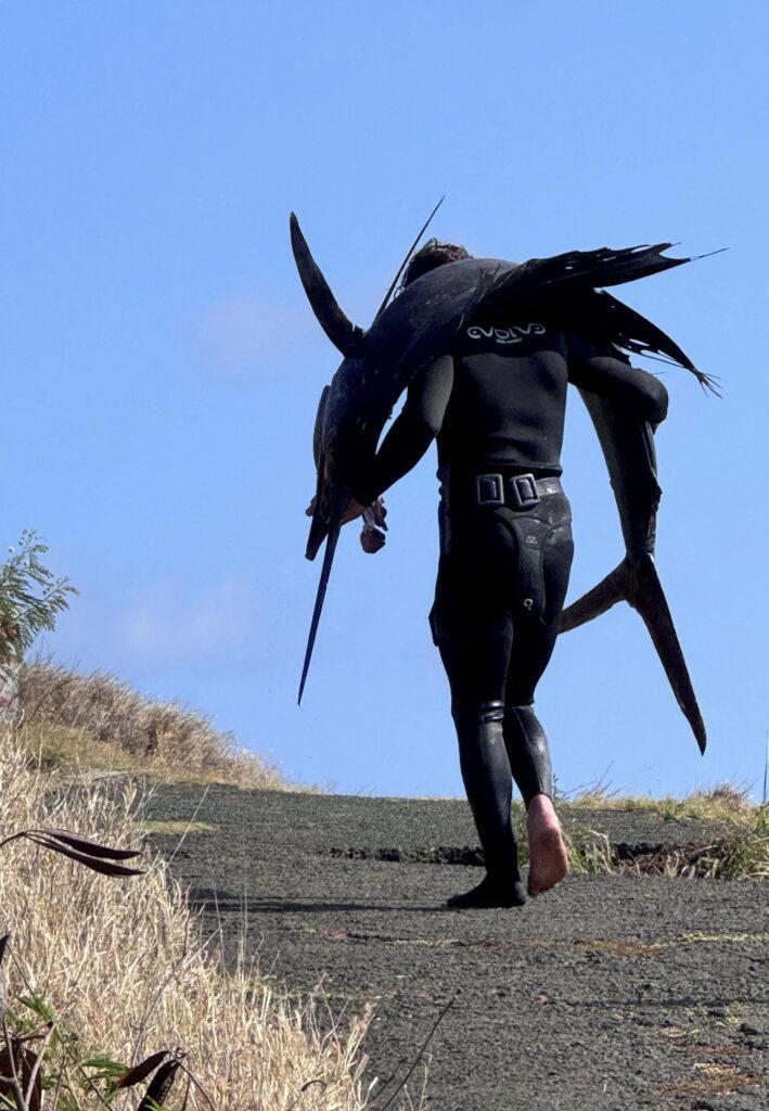 Spearfisherman survived shark attack by making tourniquet from shredded ...