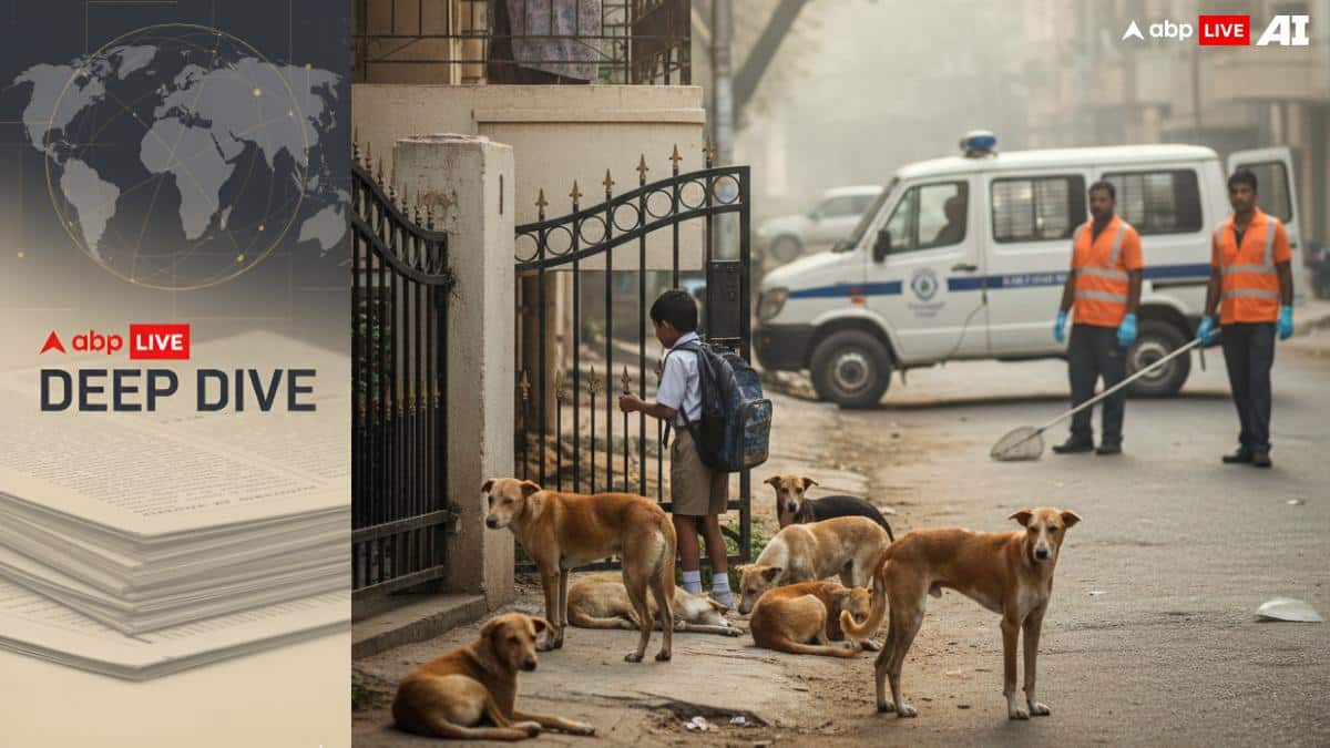 ABP Live deep dive | From 'release back' to 'no return': Supreme Court ...