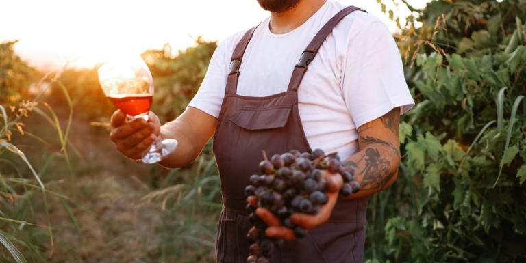 Este tinto del Bierzo tiene 93 puntos Parker, el prestigio de la ...