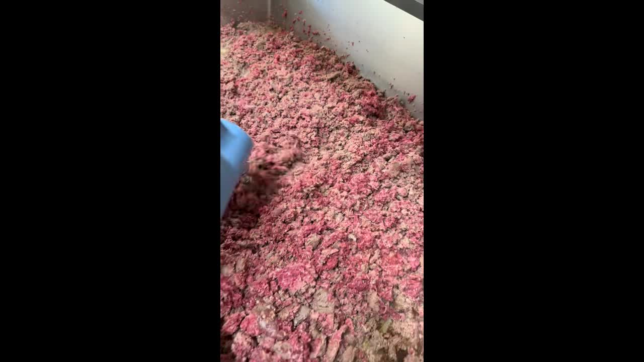 School dinner lady films satisfying prep for students' nacho day