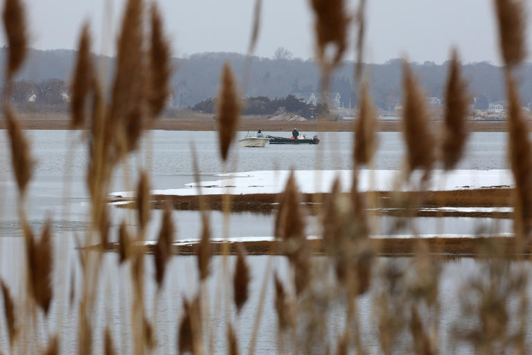 Shellfish season is open in parts of the Westport River. Here's where.