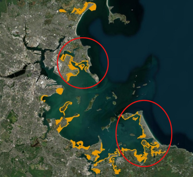 For first time in 100 years, shellfish from Boston Harbor will be safe ...