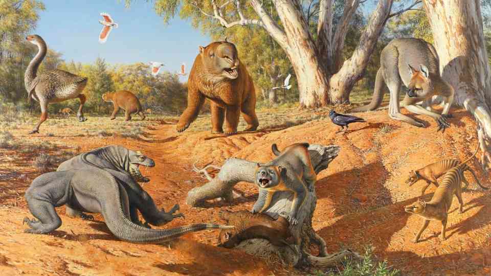 Modern humans wouldn't survive in prehistoric Australia