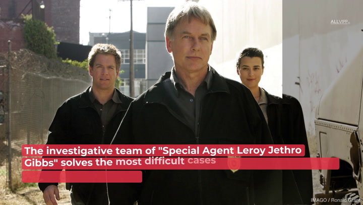 'NCIS': This is what the actors looked like young