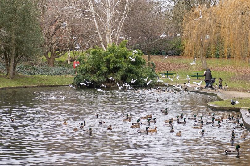 Avian flu hits Birmingham parks with public issued 'do not' warning