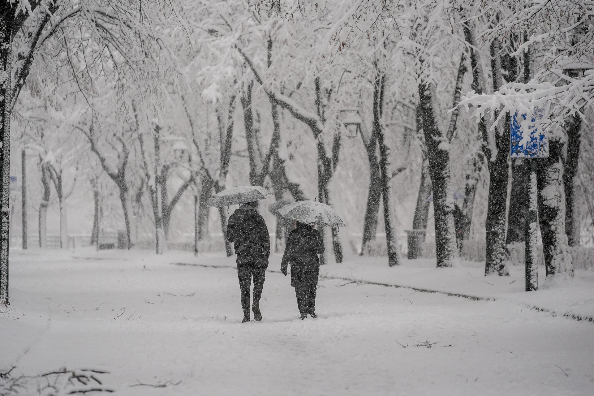 Europe gripped by deadly storm: Snow, chaos, and frigid temps unleashed