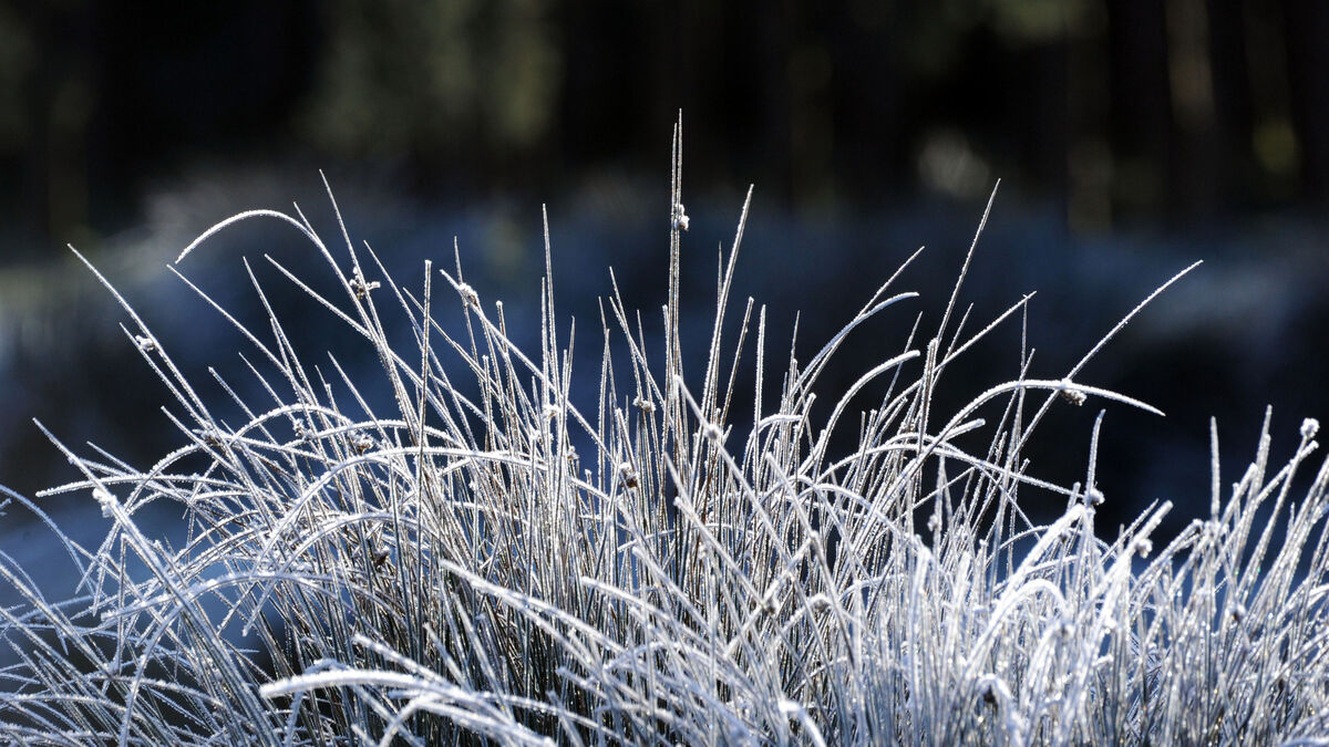 Storm Goretti: Met Éireann issues snow and rain warning for Cork and Kerry