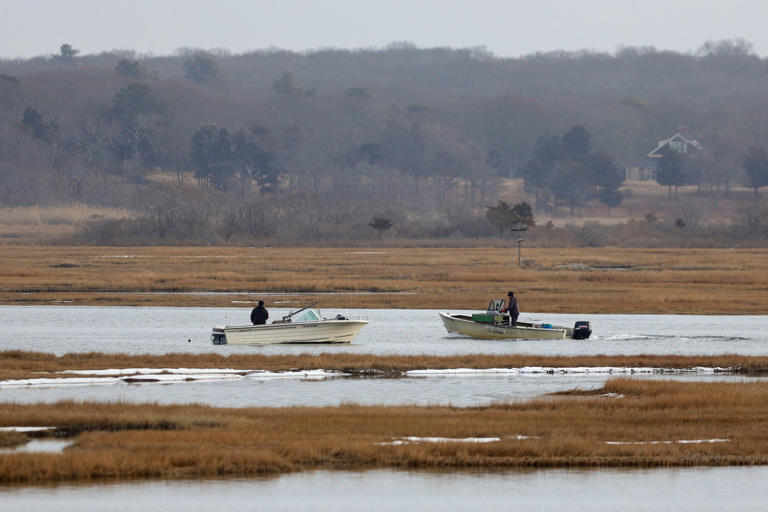 Shellfish season is open in parts of the Westport River. Here's where.